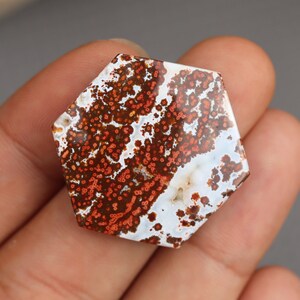 Beautiful Red Heaxagon River Jasper Cabochon Ocean Jasper Frog Egg From ...