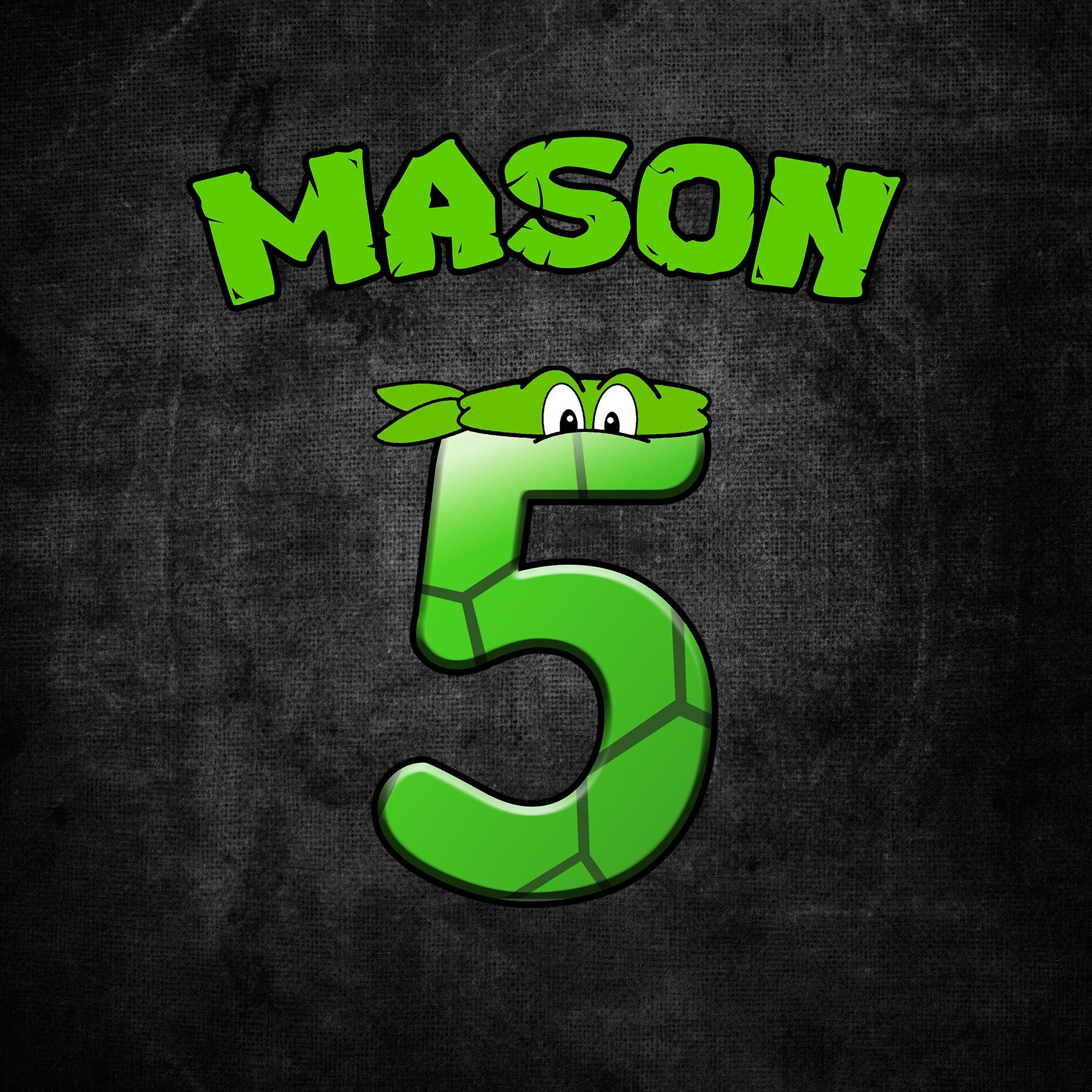 Customized Turtles Birthday Boy Png, Birthday Boy Family Matching Bundle, Birthday Boy Two Sided ...