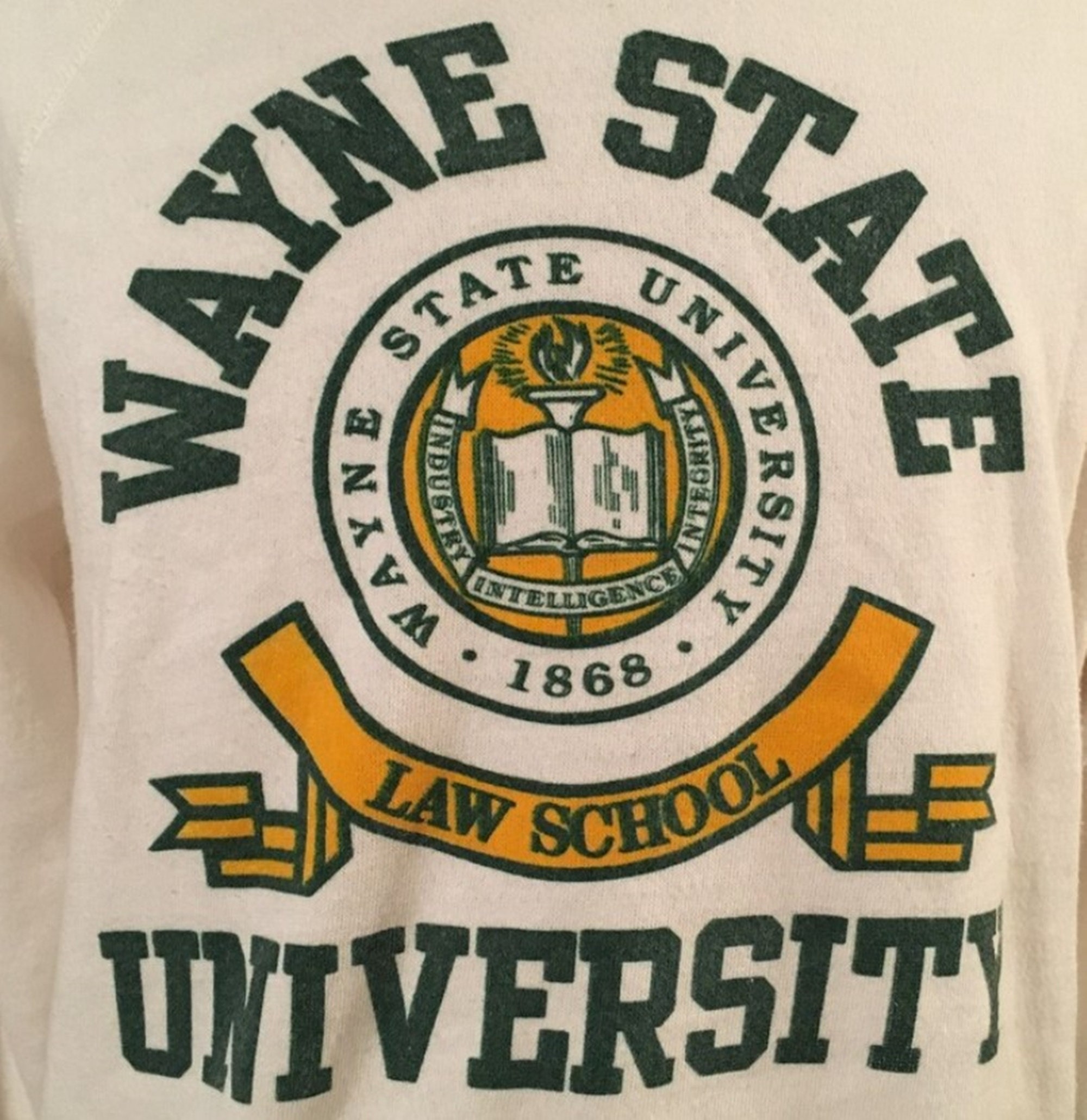 Vintage 90s Wayne State University Detroit Michigan Sweatshirt, Wayne ...