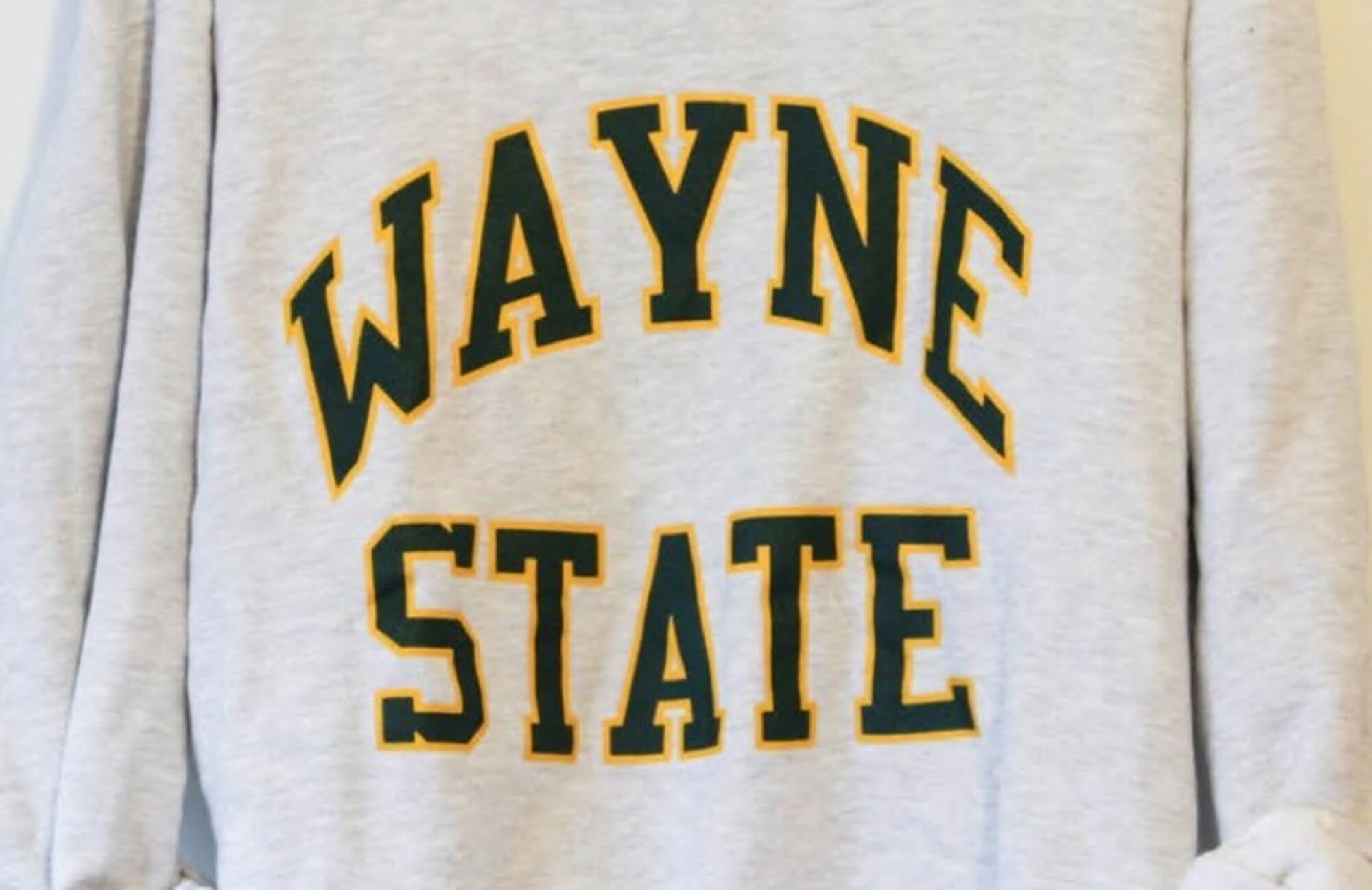 Vintage 90s Wayne State University Detroit Michigan Sweatshirt, Wayne ...