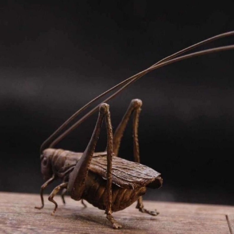 Handmade Copper Grasshopper Figurine, Small Ornament Tea Pet - Etsy
