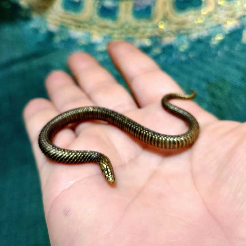 Bronze Snakes - Etsy Australia