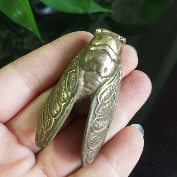 Cicada Jewelry - Etsy