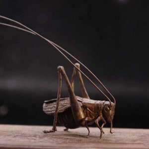 Handmade Copper Grasshopper Figurine, Small Ornament Tea Pet - Etsy