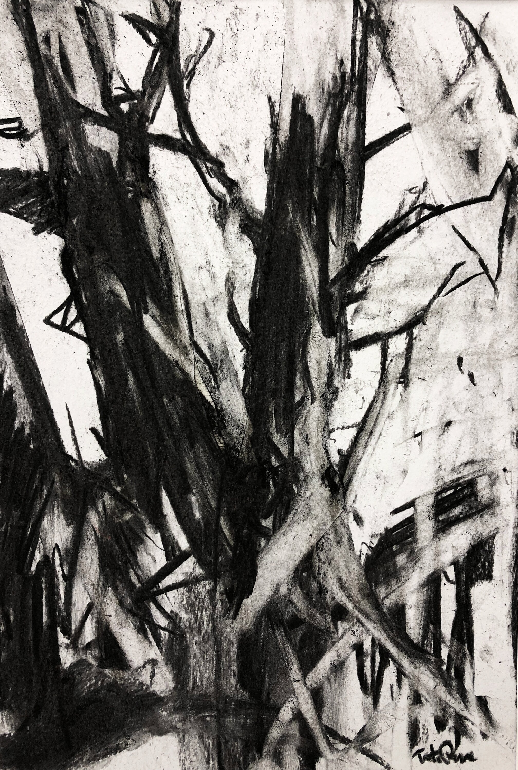 Famous Charcoal Landscape Drawings