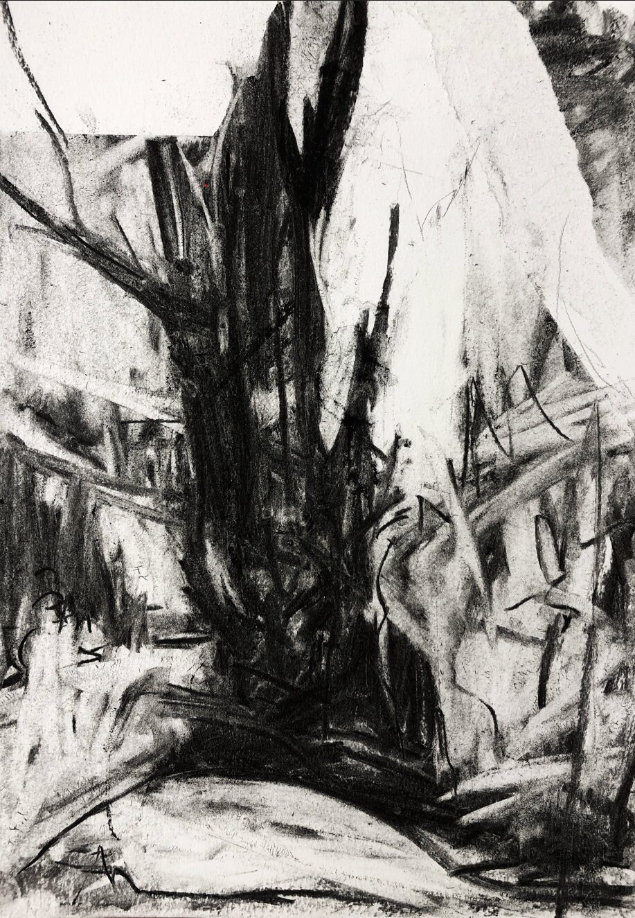 Charcoal Art Tree