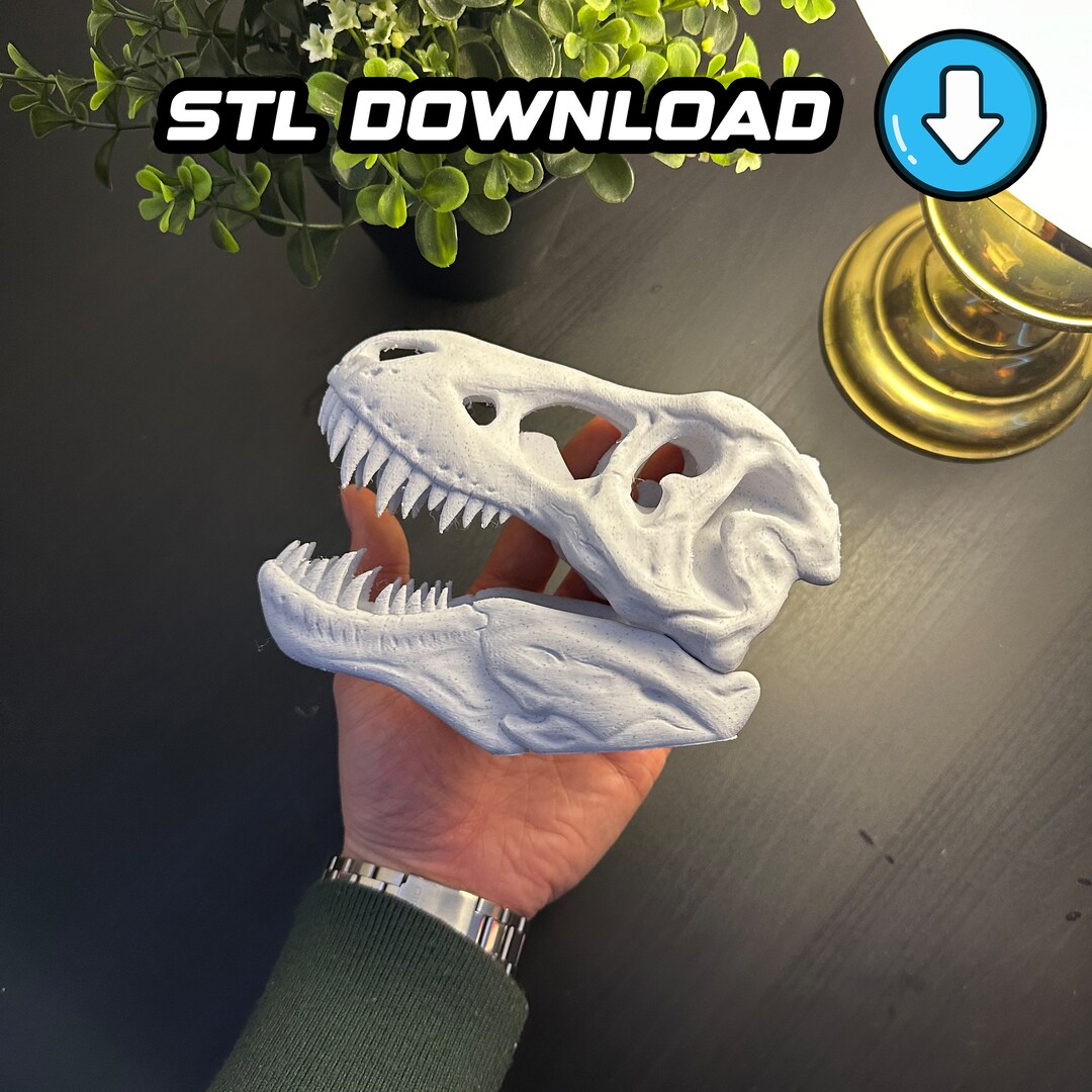 T-REX Skull - 3D STL File | Skull | Dinosour | Dinosaur Trex | 3D ...