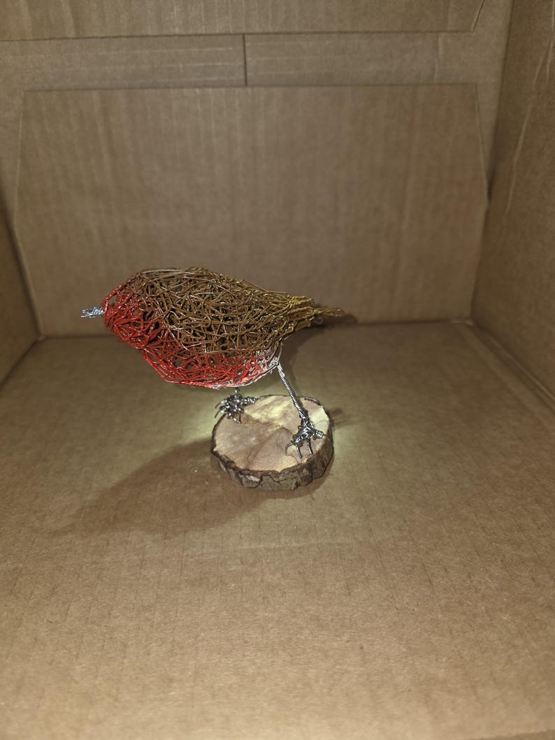 Robin Sculpture Made From Chicken Wire and Painted With Car Paints for ...