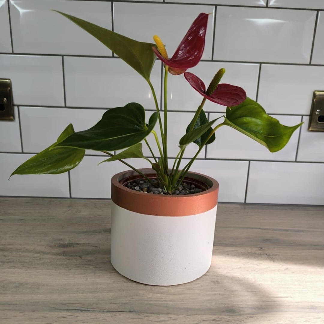 Modern Indoor Plant Pot, Small White Flower Pot With Elegant Copper ...