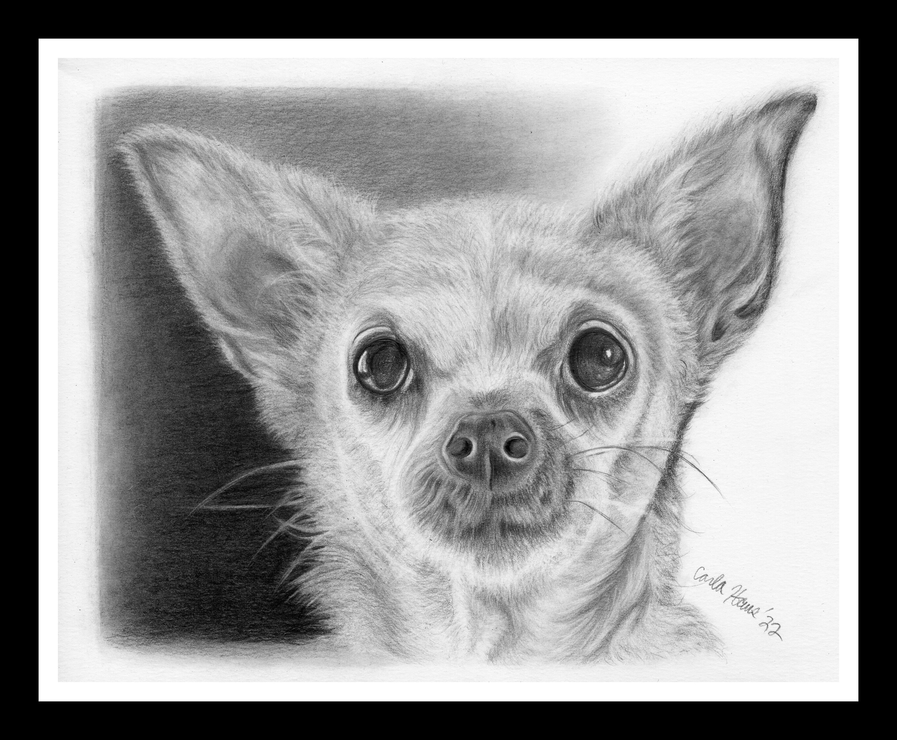 Custom Hand-drawn Pet Portraits - Etsy