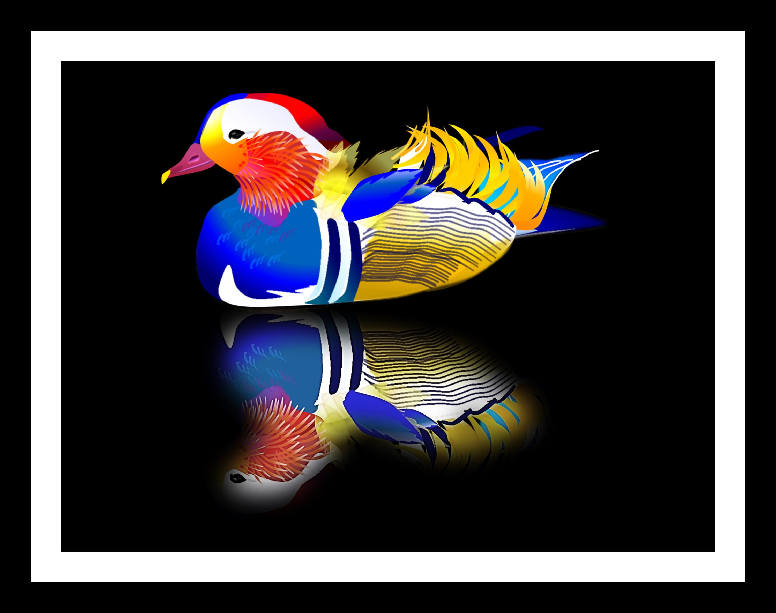 Mandarin Duck With Black Background - Etsy