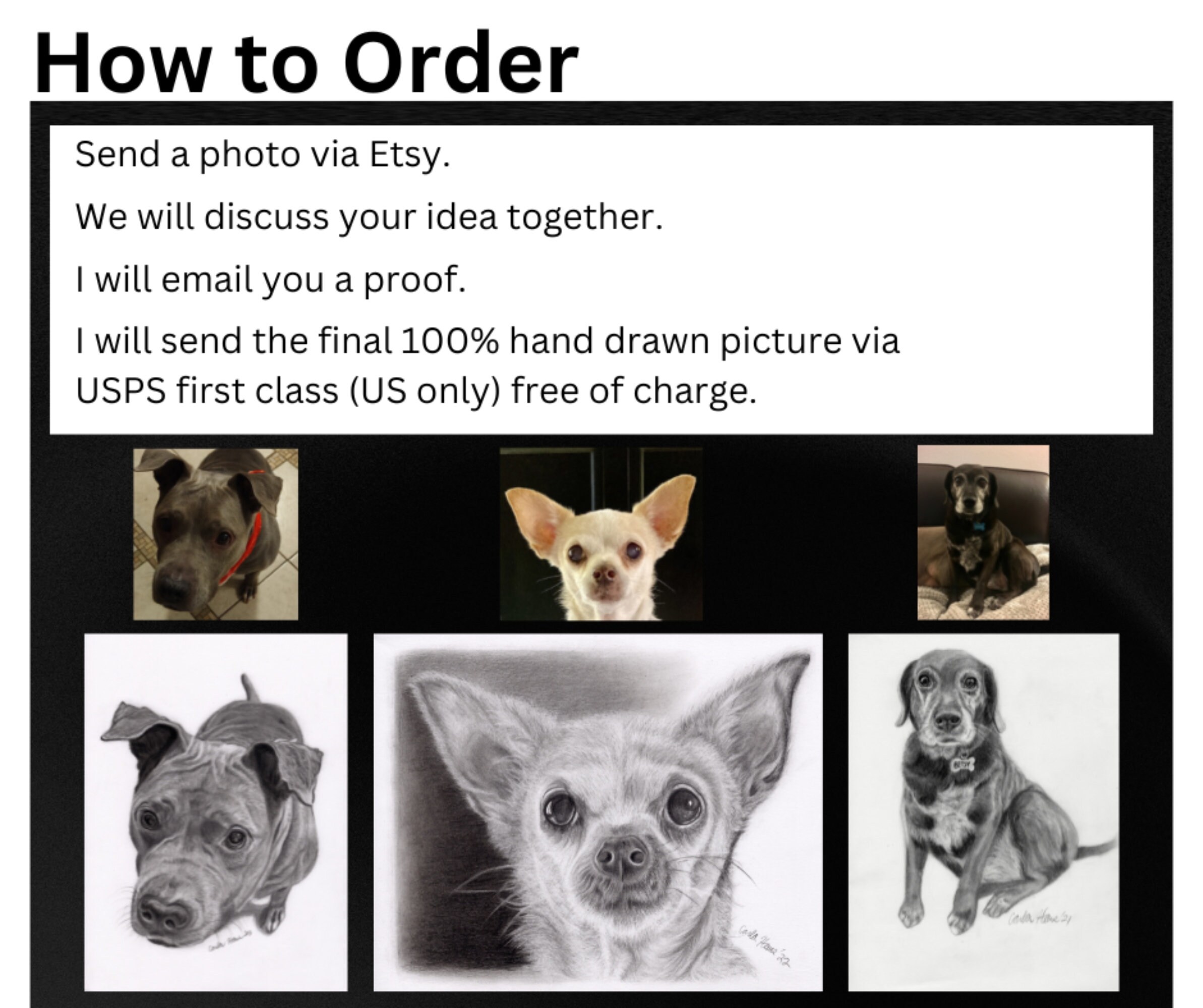 Custom Hand-drawn Pet Portraits - Etsy