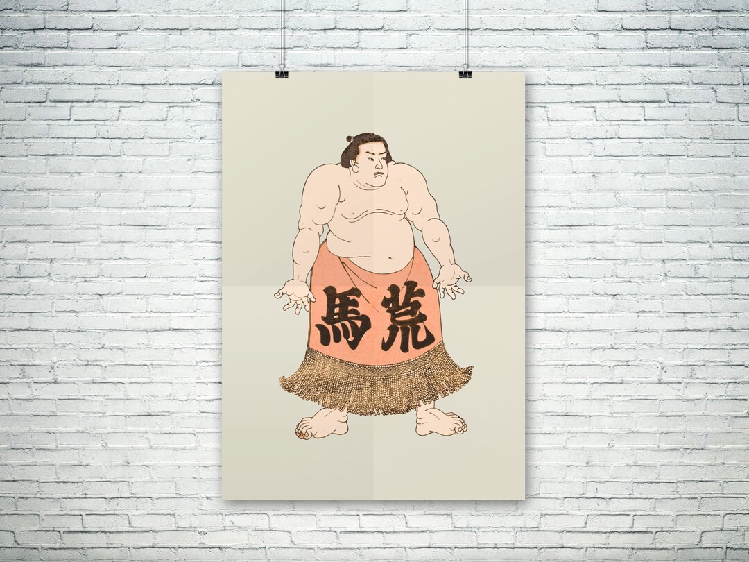 Colourful Sumo Wrestler Print | Japanese Martial Arts Poster | Gifts ...