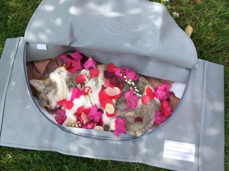 EUTHABAG - Pet Body Bag for Burial and Cremation. Eco Friendly. Customizable With Your Own Words ...