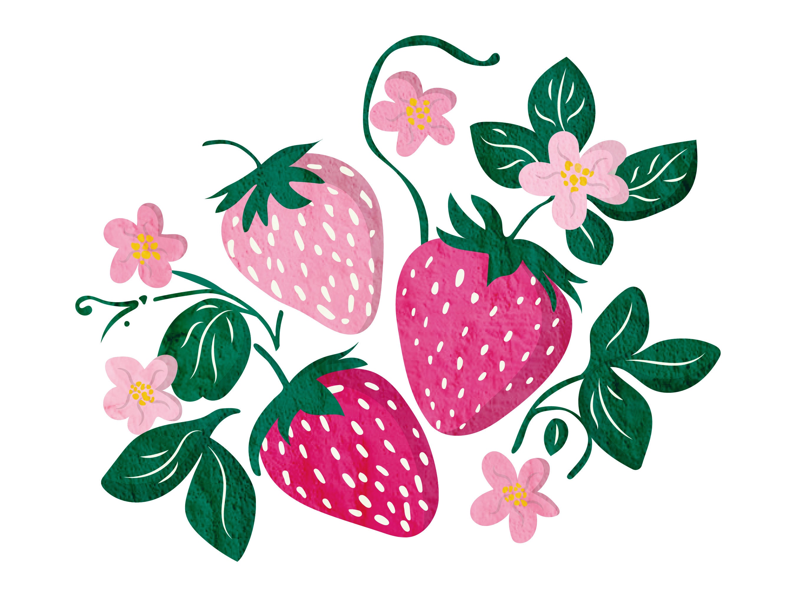 Cute Strawberries & Flowers SVG Illustration Cottage Core Strawberry ...