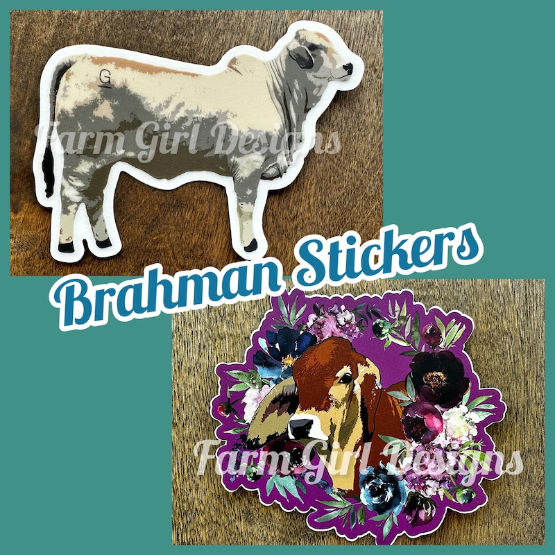Brahman - Etsy