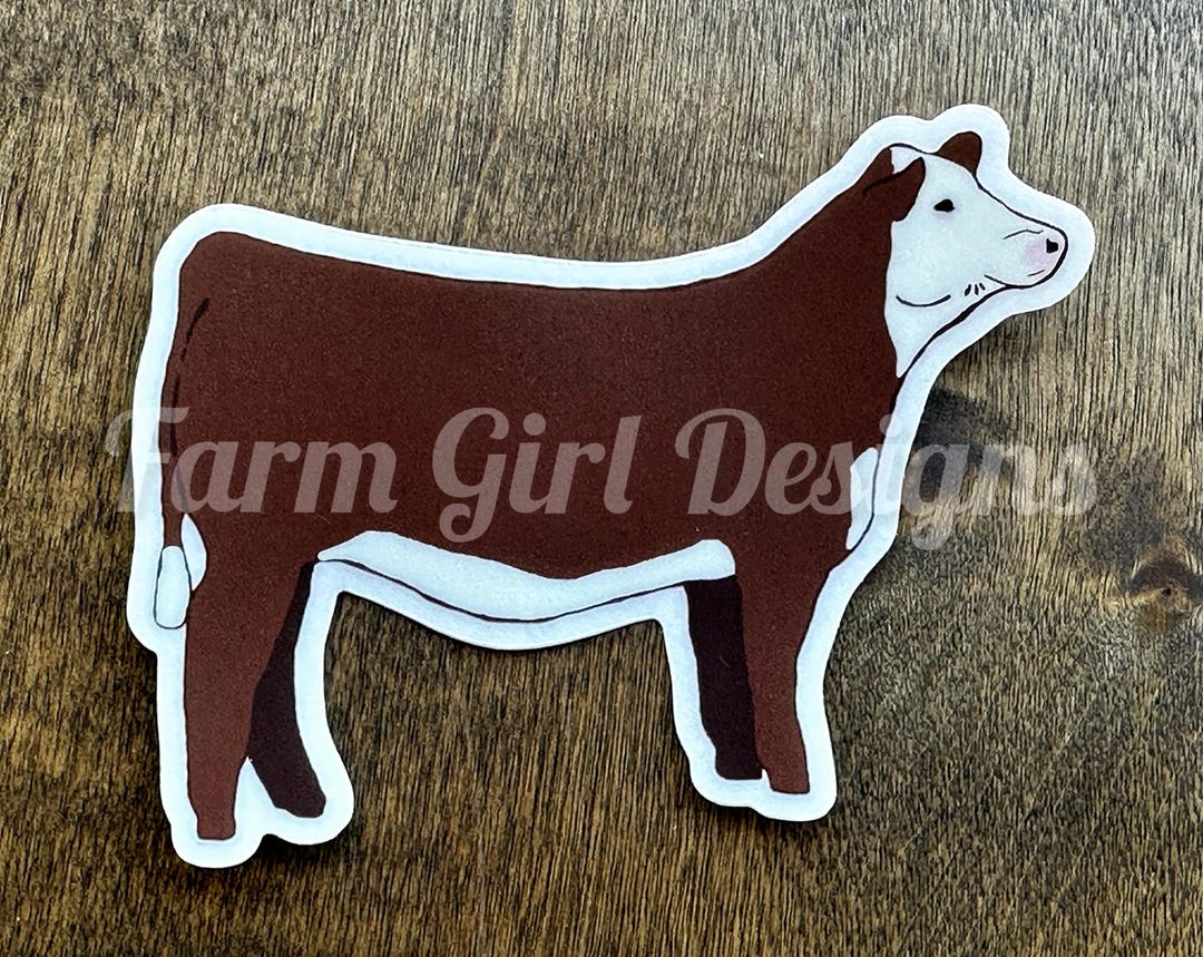 Hereford Heifer Sticker | Transparent - Etsy