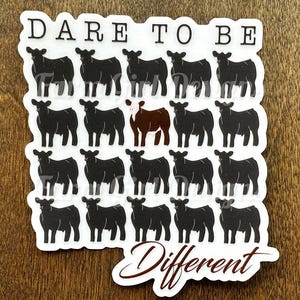 Show Cattle "dare to Be Different" Stickers: Angus, Hereford, Simmental ...