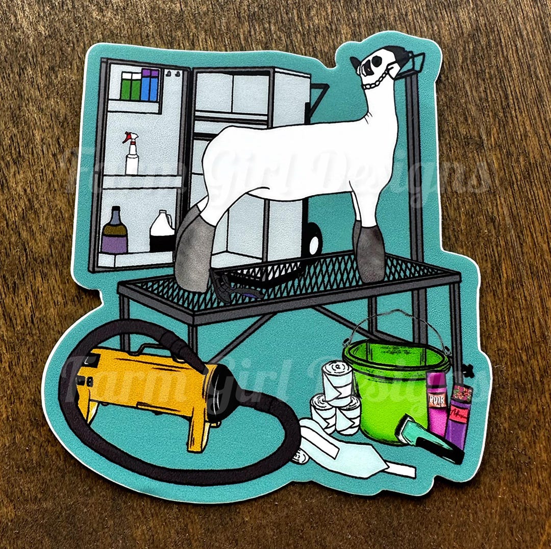Show Lamb & Supplies Sticker - Etsy