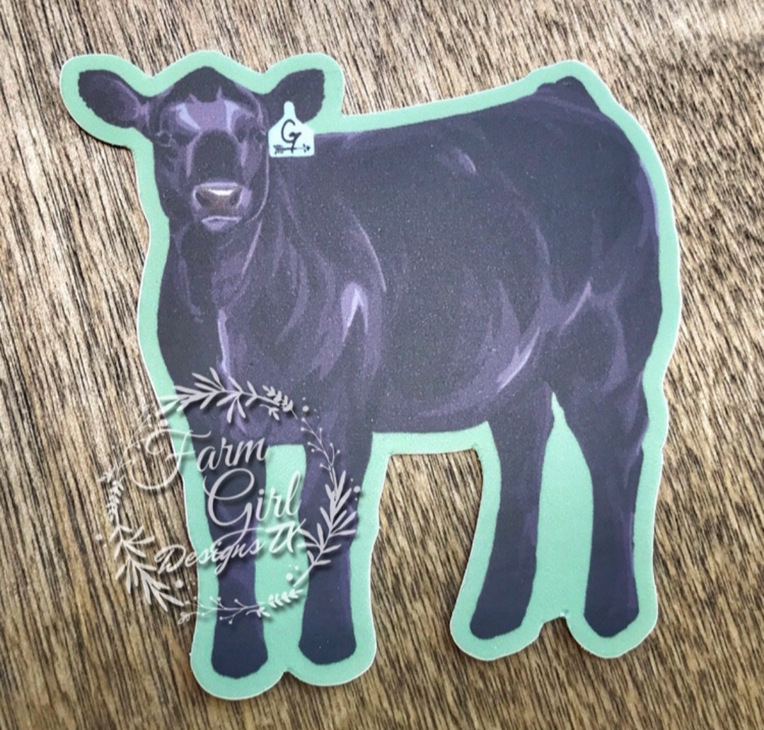 Angus Heifer Sticker - Etsy