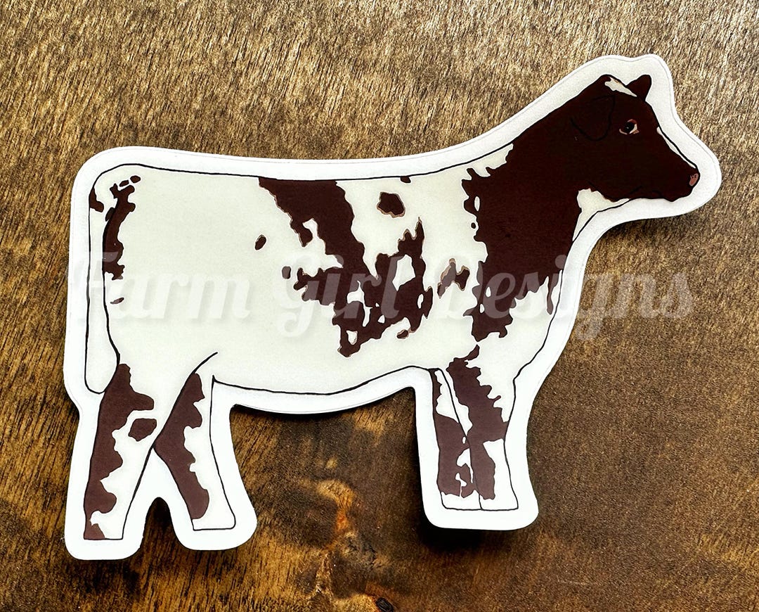 Shorthorn Heifer Sticker | Transparent Background - Etsy