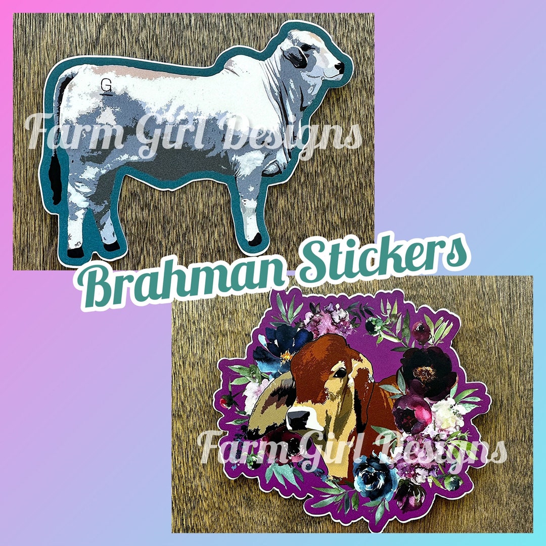 Brahman Stickers Brahman Heifer Red Brahman - Etsy