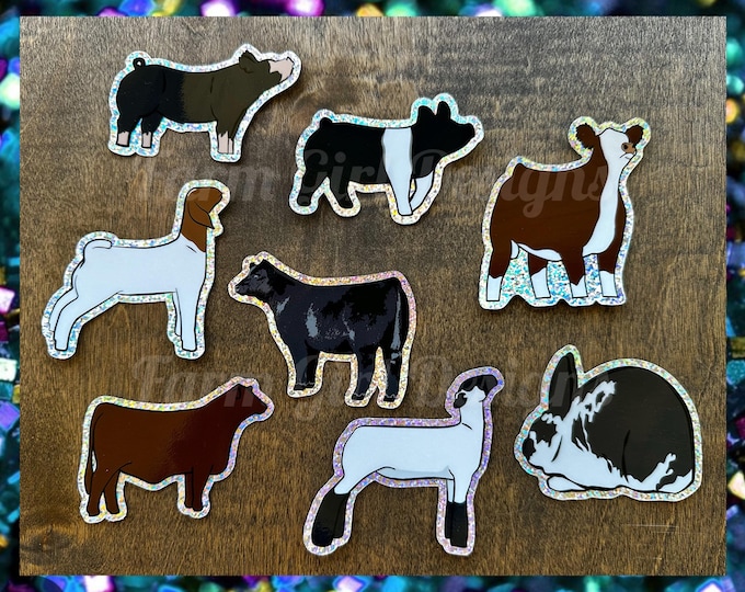 Holographic Show Steer Sticker | Show Cattle Sticker | Cattle Sticker ...