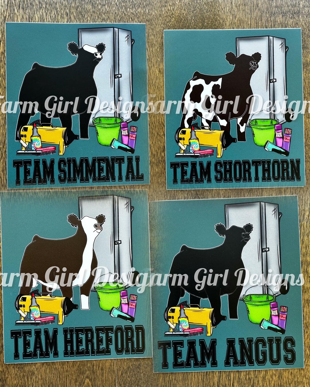 Show Cattle Breed “team” Stickers | Angus | Shorthorn | Hereford ...