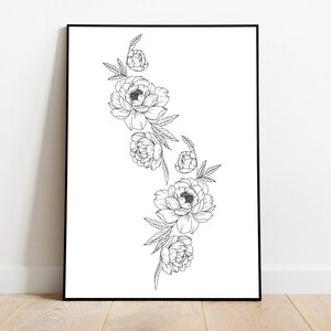6 Peonies Outline Artwork | Peony Digital Drawing | Peony Fine Line Art ...