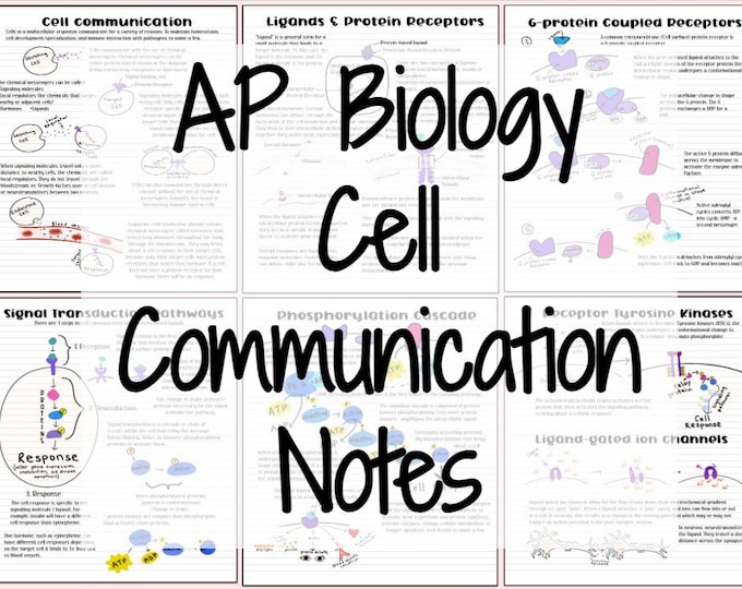 AP Biology Cell Communication Notes signal Transduction - Etsy