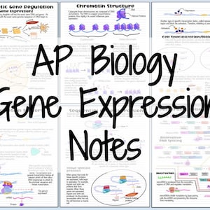 AP Biology Eukaryotic Gene Expression Notes - Etsy