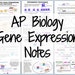 AP Biology Eukaryotic Gene Expression Notes - Etsy