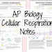 AP Biology Cellular Respiration Notes (aerobic & Anaerobic Respiration ...