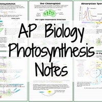 A-level Biology Bundle: As/year 1 Notes and Flashcards - Etsy