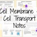 Cell Membrane & Cell Transport Notes (diffusion, Facilitated Diffusion ...