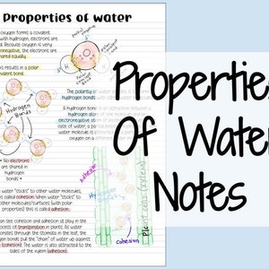 AP Biology Properties of Water Notes - Etsy