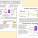 Cell Membrane & Cell Transport Notes (diffusion, Facilitated Diffusion ...