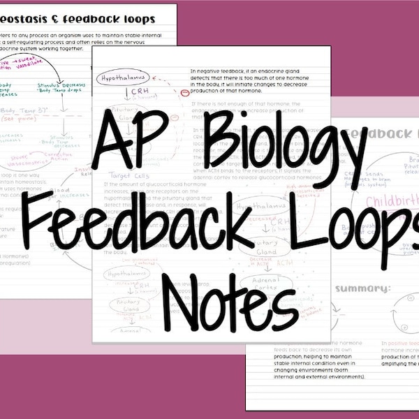 HeyNowScience - Etsy