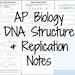 AP Biology DNA Structure and Replication Notes - Etsy