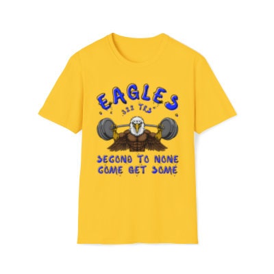 322 TRS Eagles Unisex T-shirt, BMT Graduation T Shirt, Air Force Shirt ...