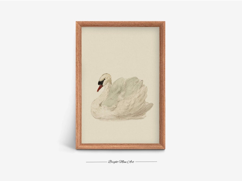 PRINTABLE Swan Sketch Art | Antique Nursery Girls Room Wall Decor ...