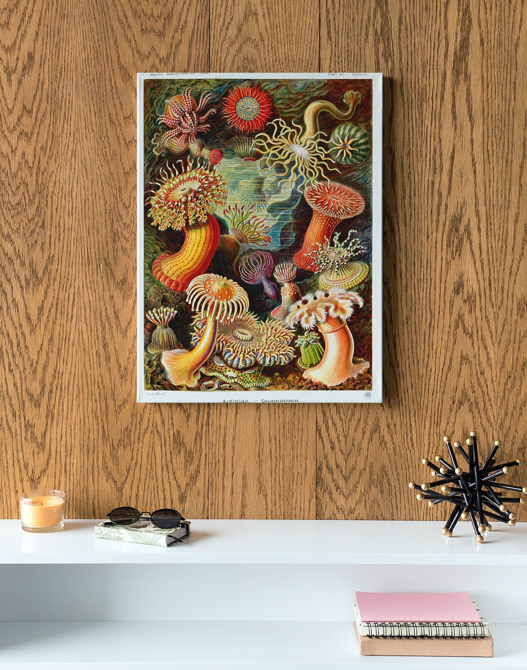 Ernst Haeckel Sea Anemone Art Print — Antique Marine Biology Wall ...