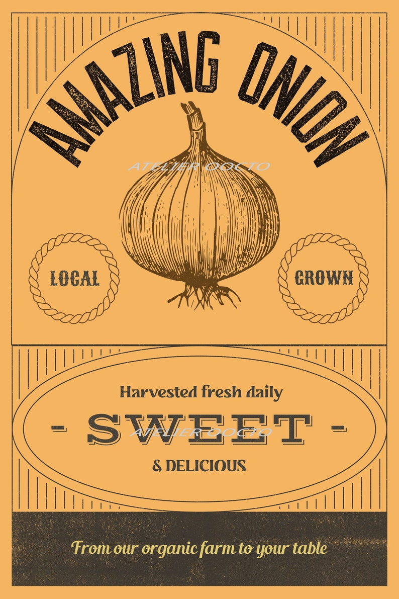 Vintage Onion Printable Art Poster, Digital Art Download, Vintage ...