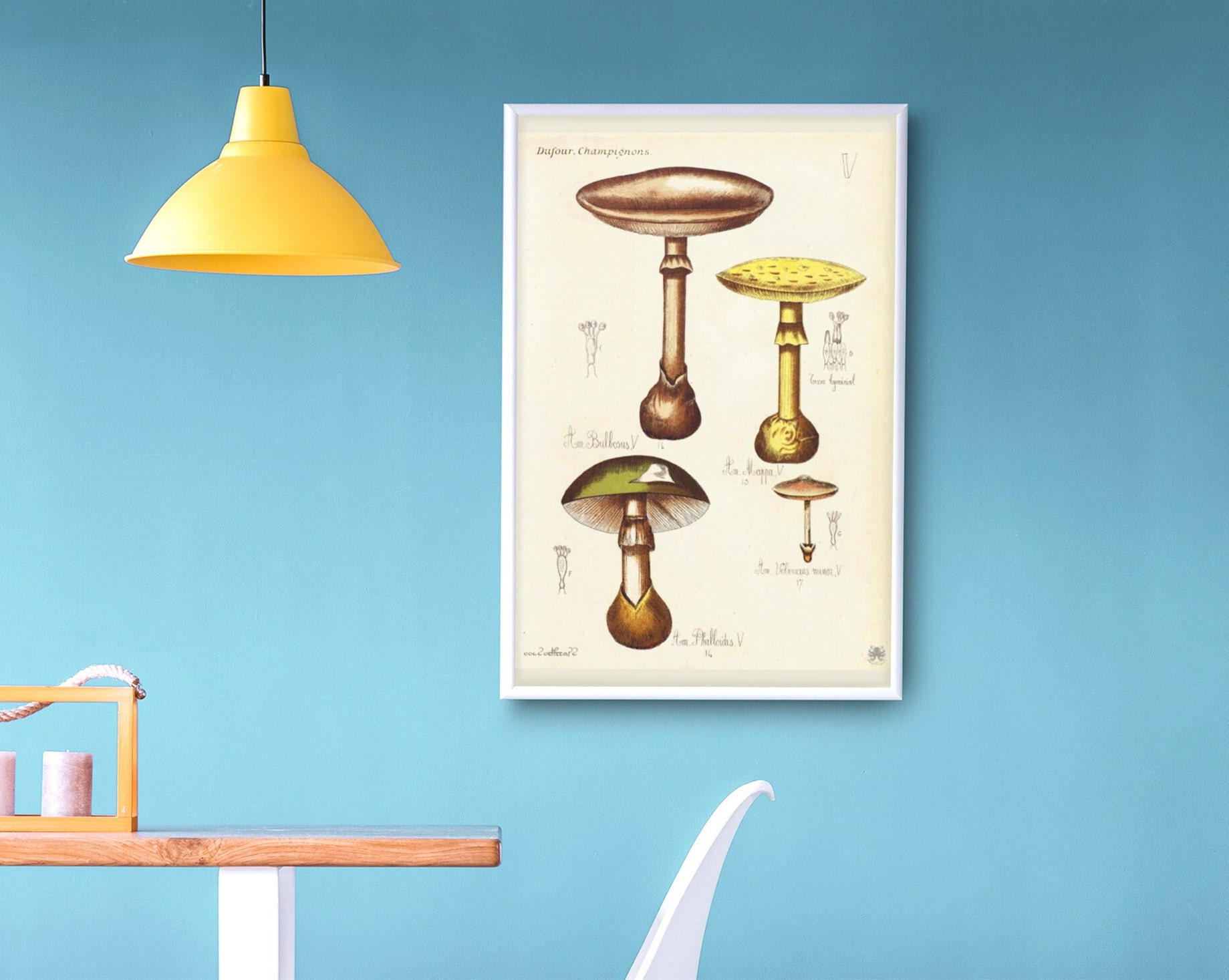 Antique Mushroom Printed Art Poster, Antique Plant Printed Poster ...