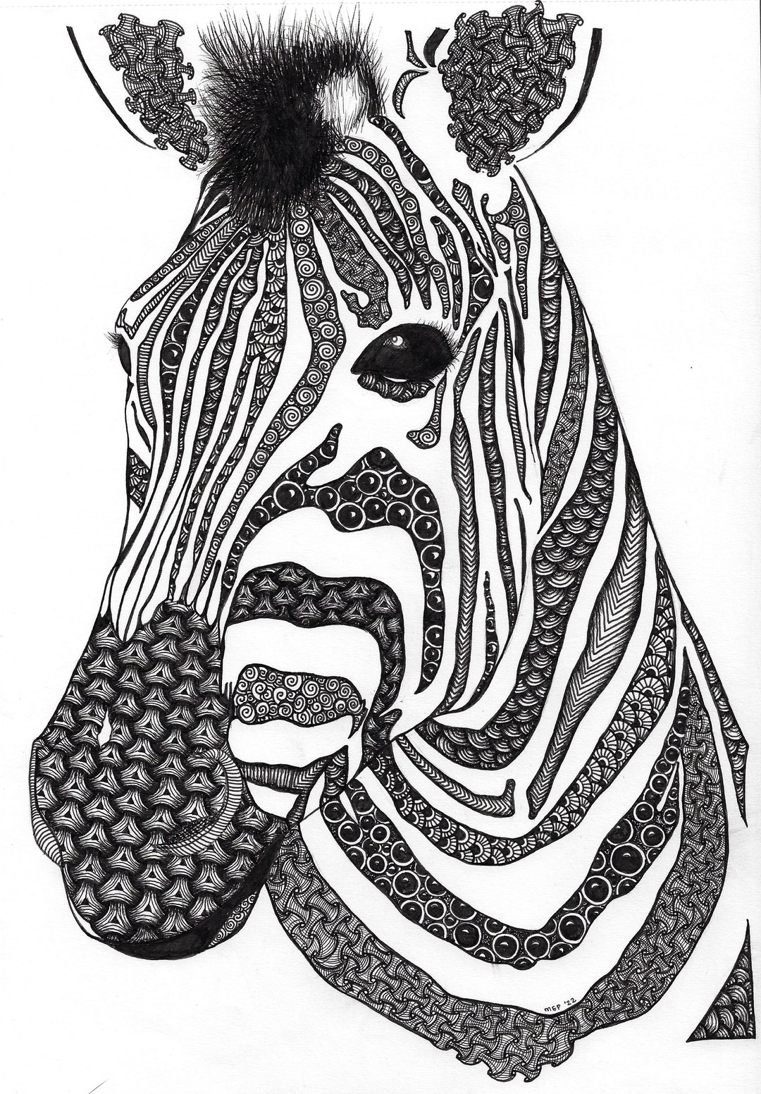 Zentangle B&W Zebra Portrait, Limited Edition, Original, 9x12 Unmatted ...