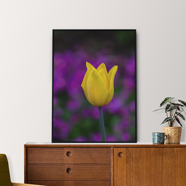Tulip Print - Etsy