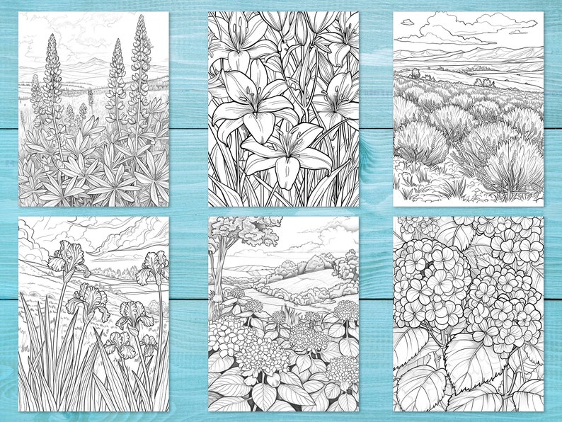 Floral Fields Coloring Pages, 32 Printable Landscape Coloring Book for ...