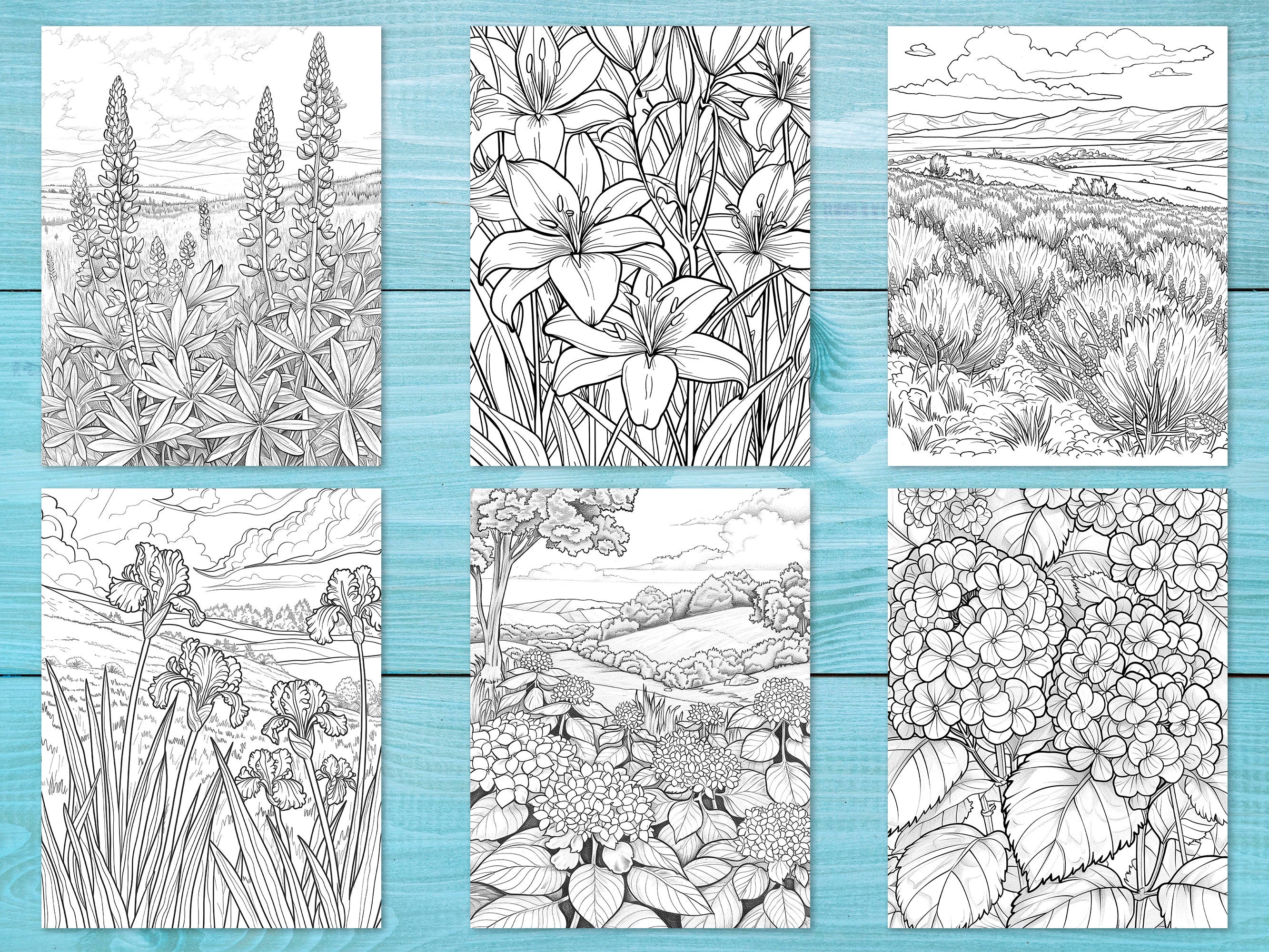 Floral Fields Coloring Pages, 32 Printable Landscape Coloring Book for ...