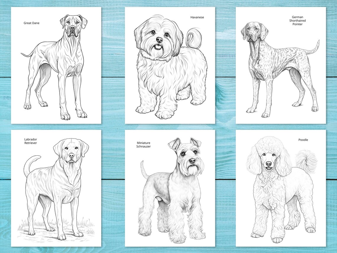 Dog Breeds Coloring Book, 30 Printable Dogs Coloring Pages for Kids and ...