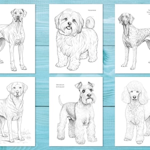 Dog Breeds Coloring Book, 30 Printable Dogs Coloring Pages for Kids and ...